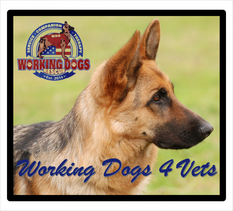 Working Dogs 4 Vets - Working Dogs Rescue